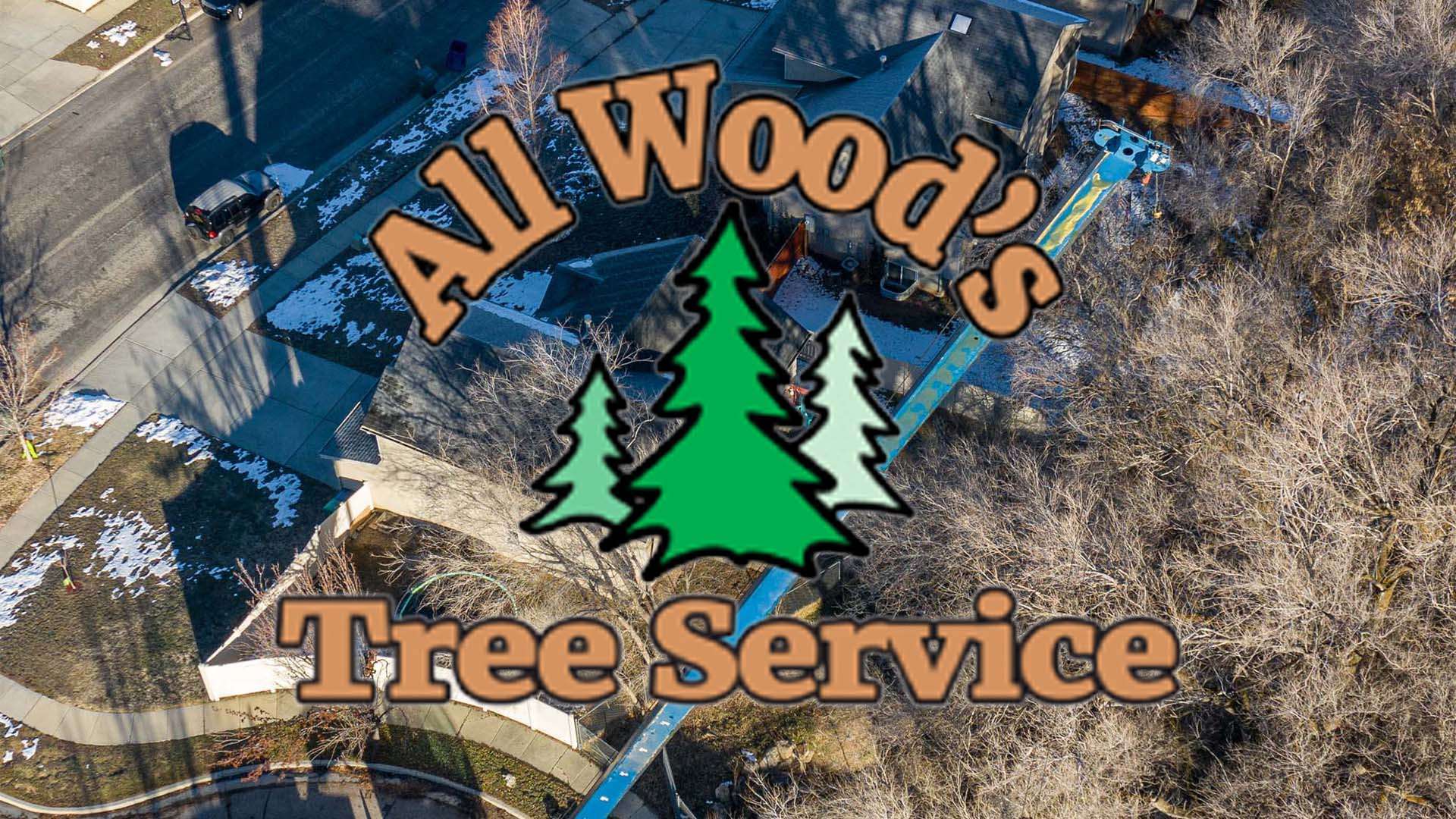 Tree Trimming & Removal | All Woods Tree Service