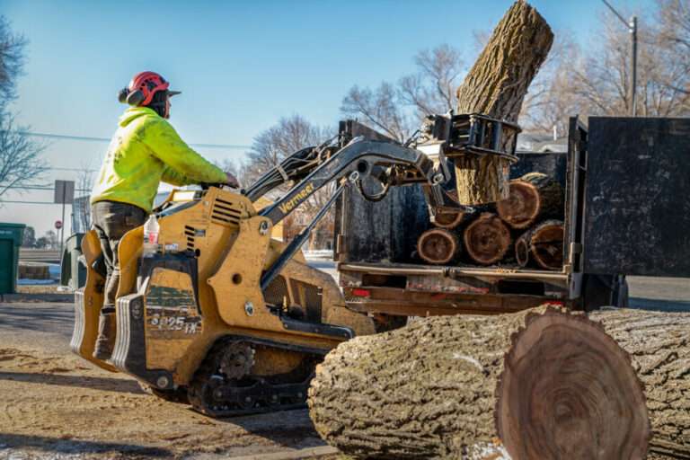 Tree Trimming & Removal | All Woods Tree Service
