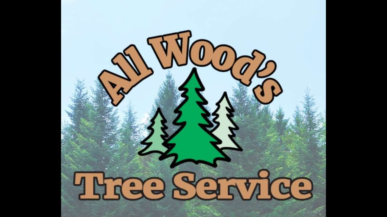 All Woods Tree Service Blog: Tree Care Tips & News