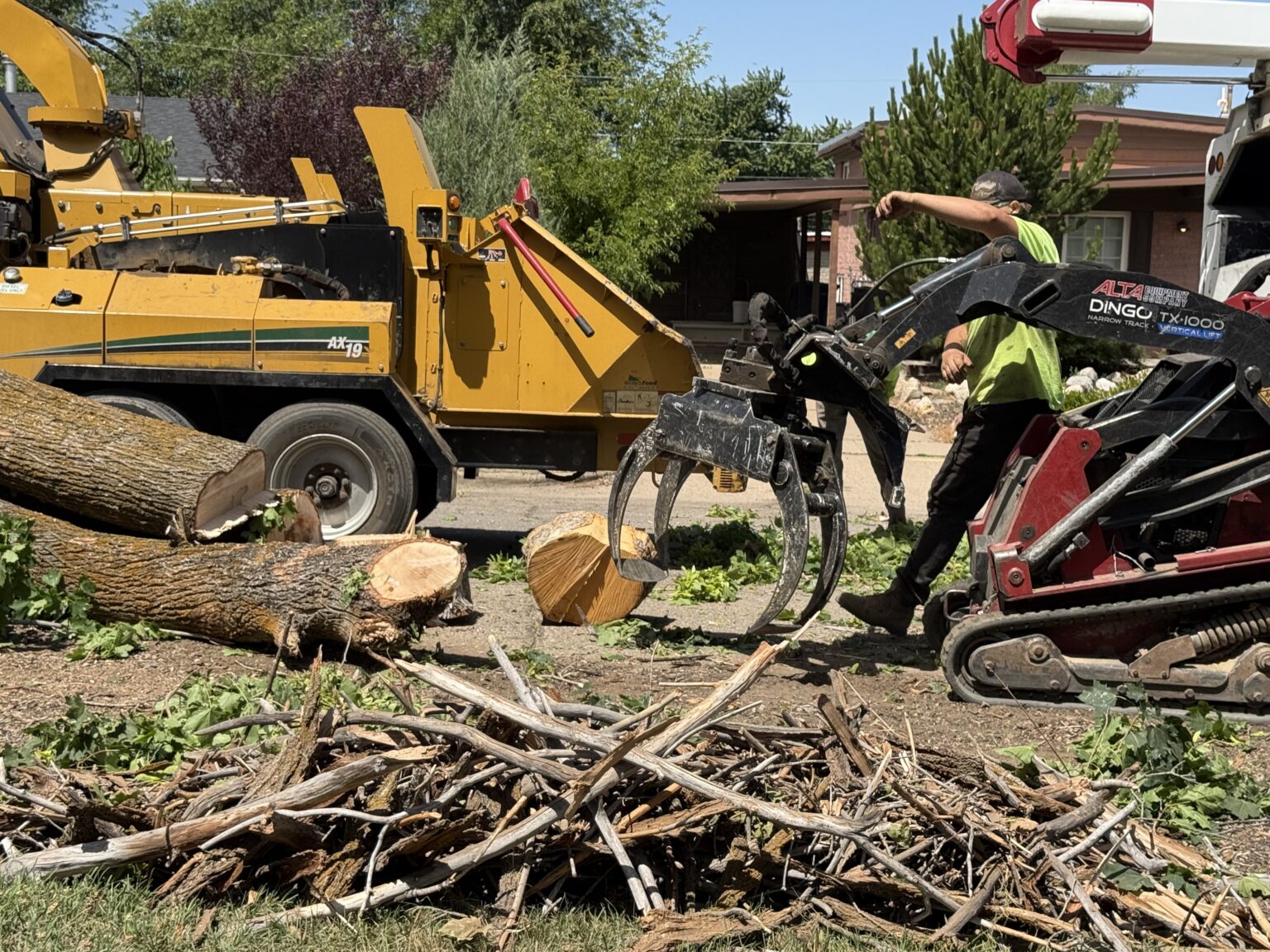 Tree Care FAQs: Answers from All Woods Tree Service